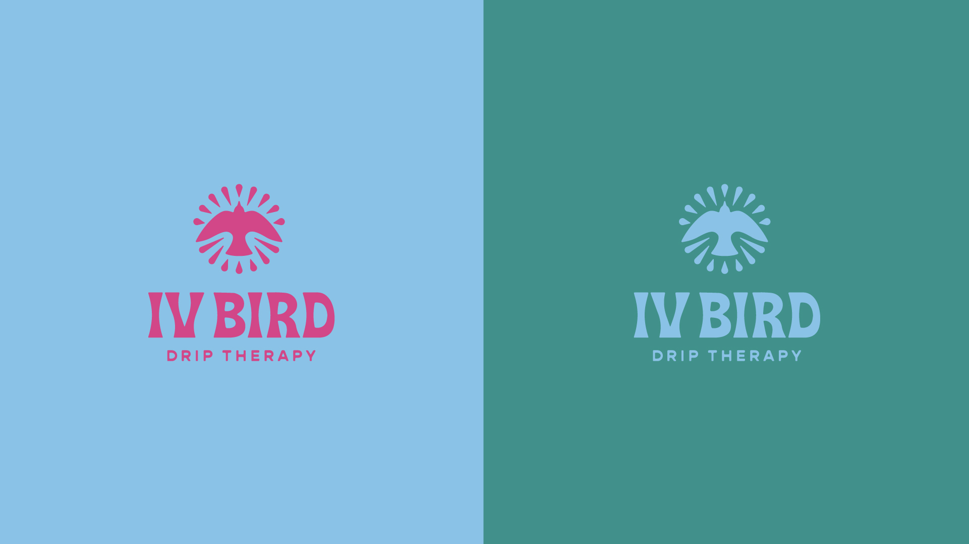 IV Bird | CoPilot Creative // A Design + Branding Studio